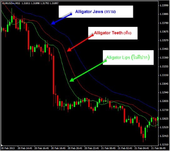 Alligator Indicator - Chiangmai Forex