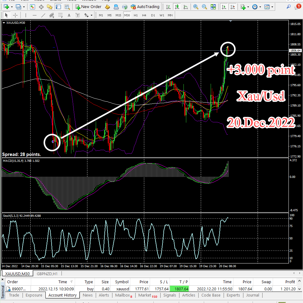 Rojer Trade Result (2022) - Chiangmai Forex